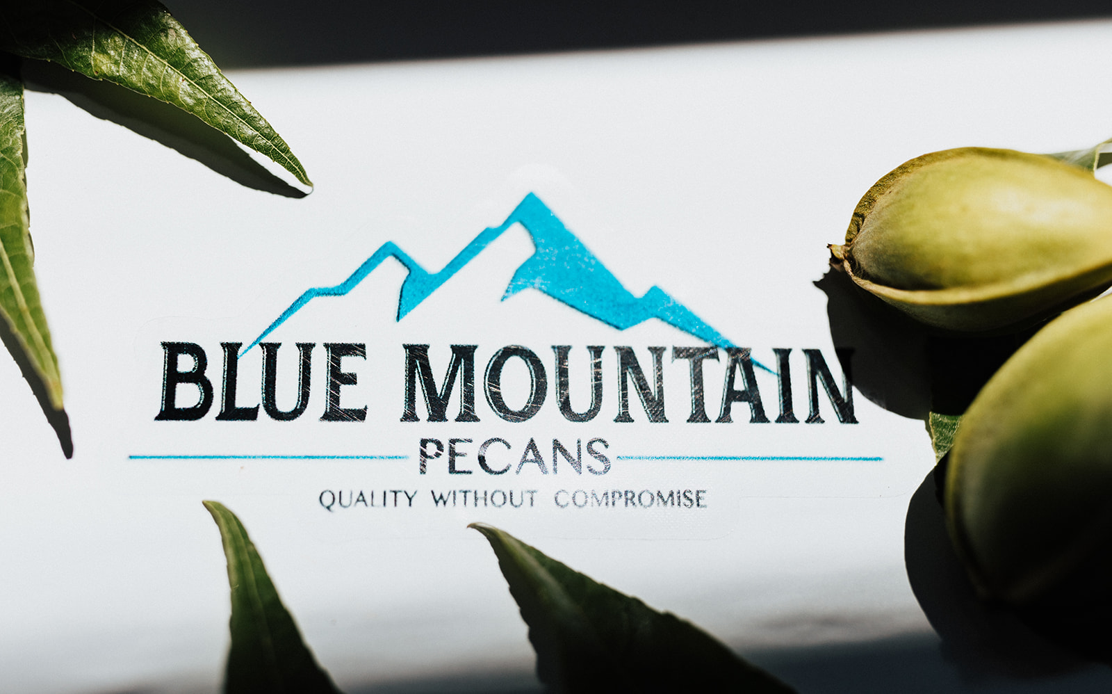 Blue Mountain Foods